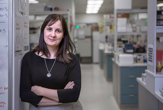 A Q&A with Dr. Jeanette Boudreau on harnessing the power of Natural ...