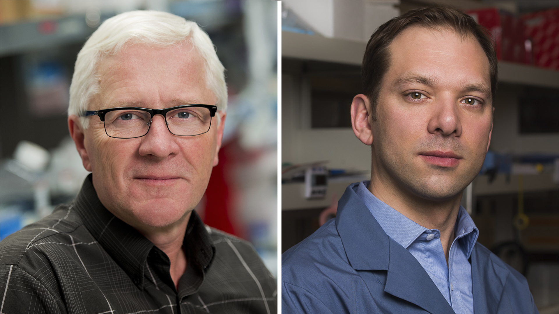 Mapping out the mystery of blood stem cells