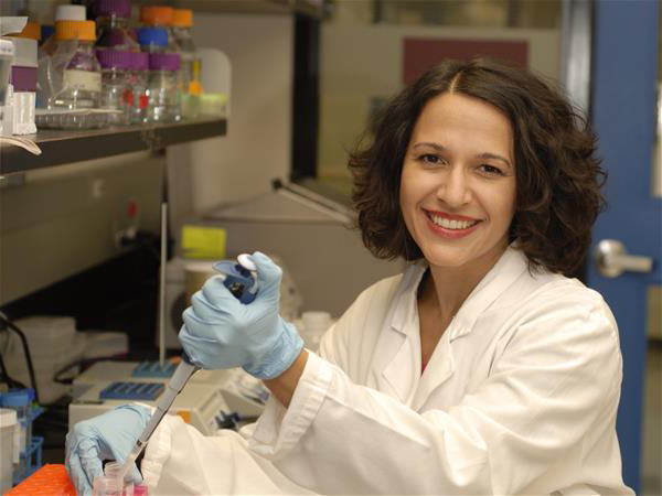 The role of Bmi1 in neural stem cell maintenance and brain tumour ...